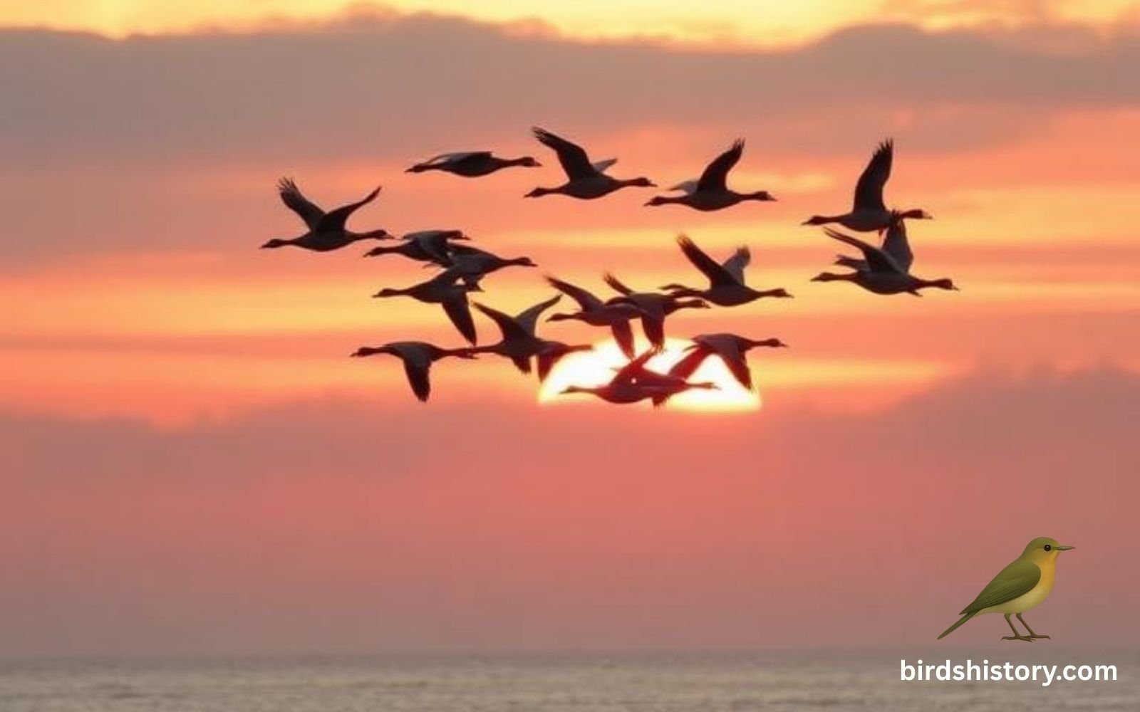 Which Birds Fly South for the Winter? A Guide to Winter Bird